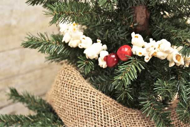 Christmas Holiday Traditions - Live Laugh Rowe