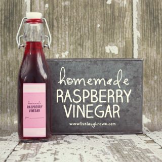 Homemade Raspberry Vinegar - Live Laugh Rowe