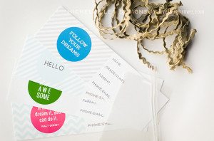 DIY Backpack and Lunch Box Tags | Guest Post - Live Laugh Rowe