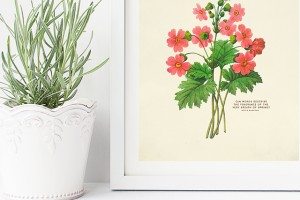 FREE Printable Wall Art. Choose from two Spring Botanical Prints!