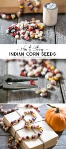 How to String Indian Corn Seeds | Autumn Garland - Live Laugh Rowe