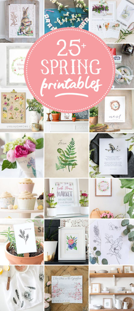 Botanical Spring Flowers | Vintage Inspired 8x10 Printable