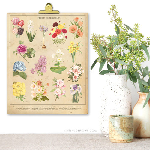 Botanical Spring Flowers | Vintage Inspired 8x10 Printable