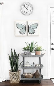 Design Your Own Canvas Artwork | CanvasDiscount - Live Laugh Rowe