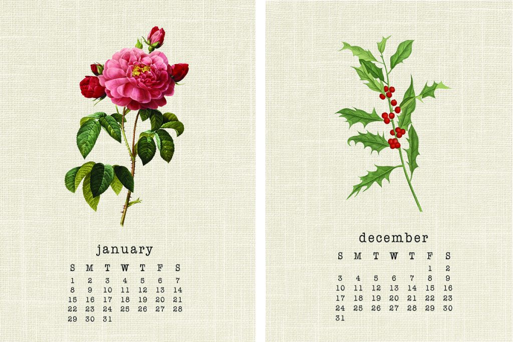 Printable 2023 Botanical Calendar - Live Laugh Rowe