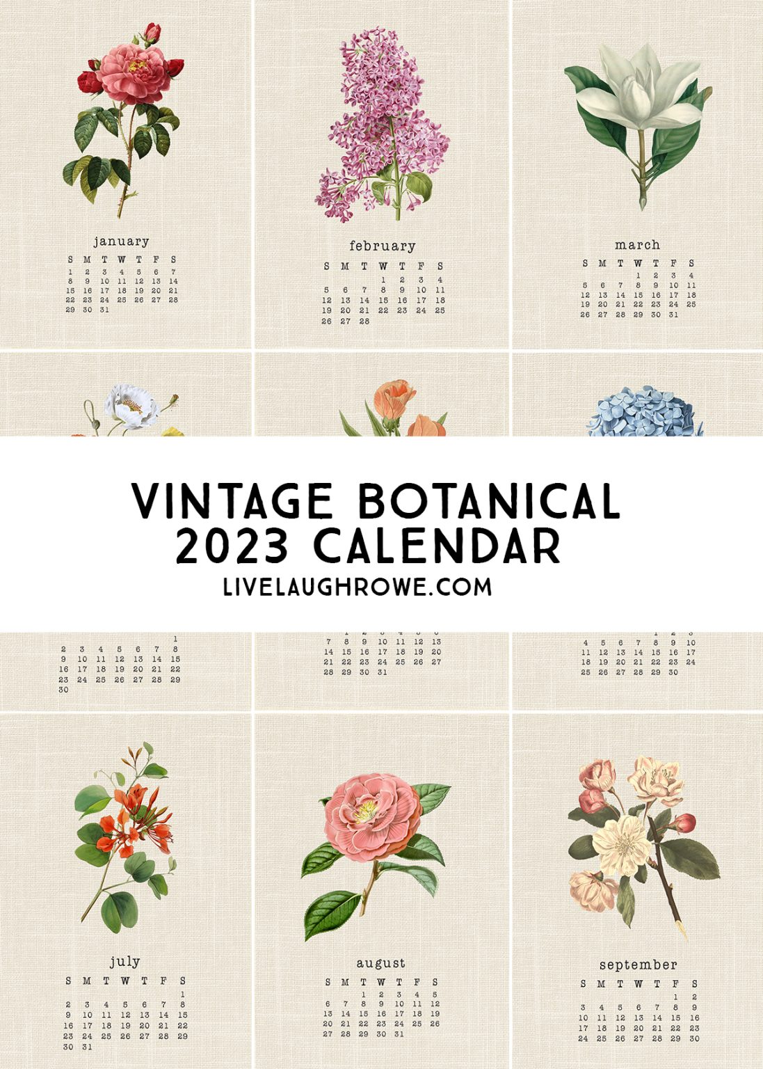 Printable 2023 Botanical Calendar - Live Laugh Rowe