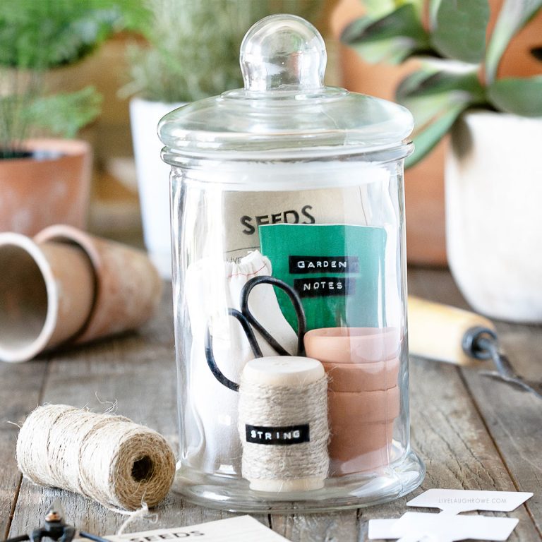 DIY Dish Garden | The Gro Project - Live Laugh Rowe