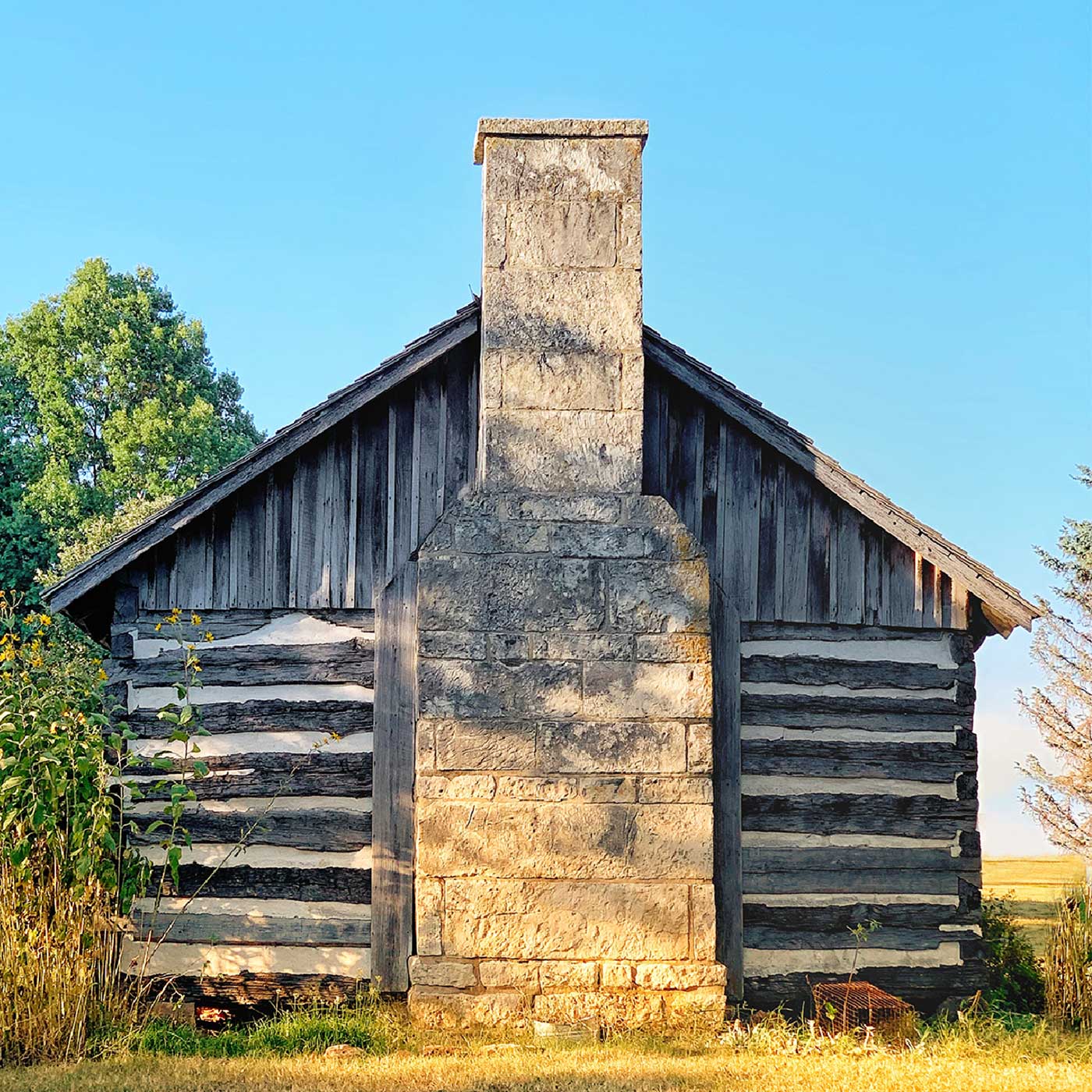 the Weekender - Live Laugh Rowe