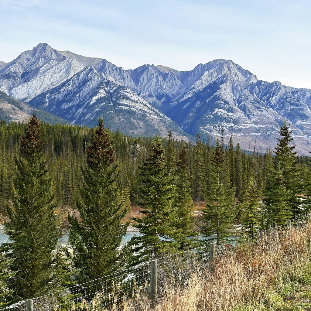 the Weekender - Live Laugh Rowe