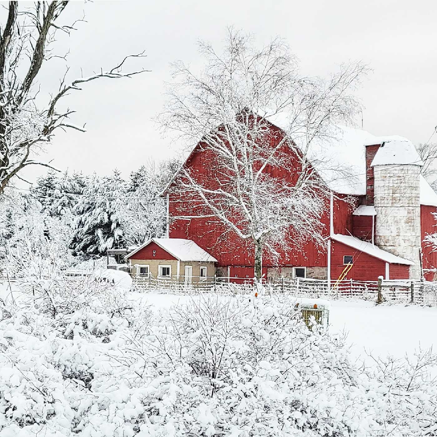 the Weekender - Live Laugh Rowe