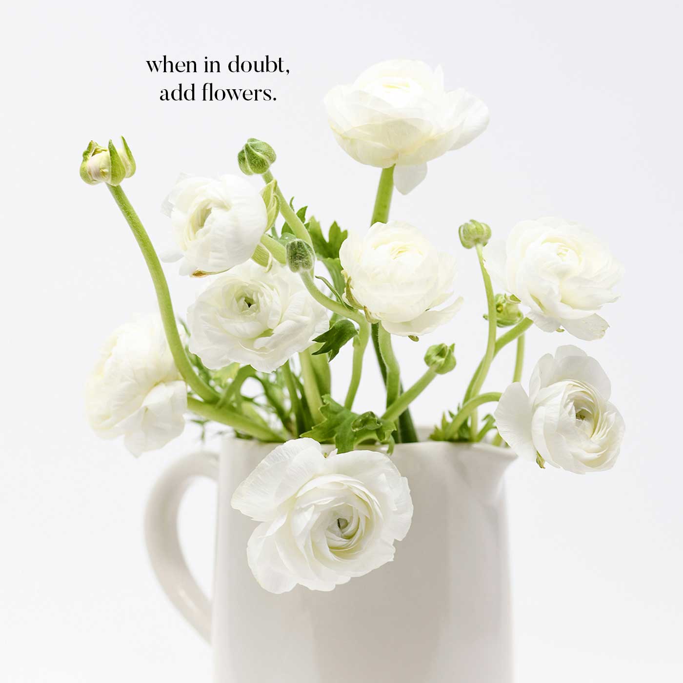 the Weekender - Live Laugh Rowe