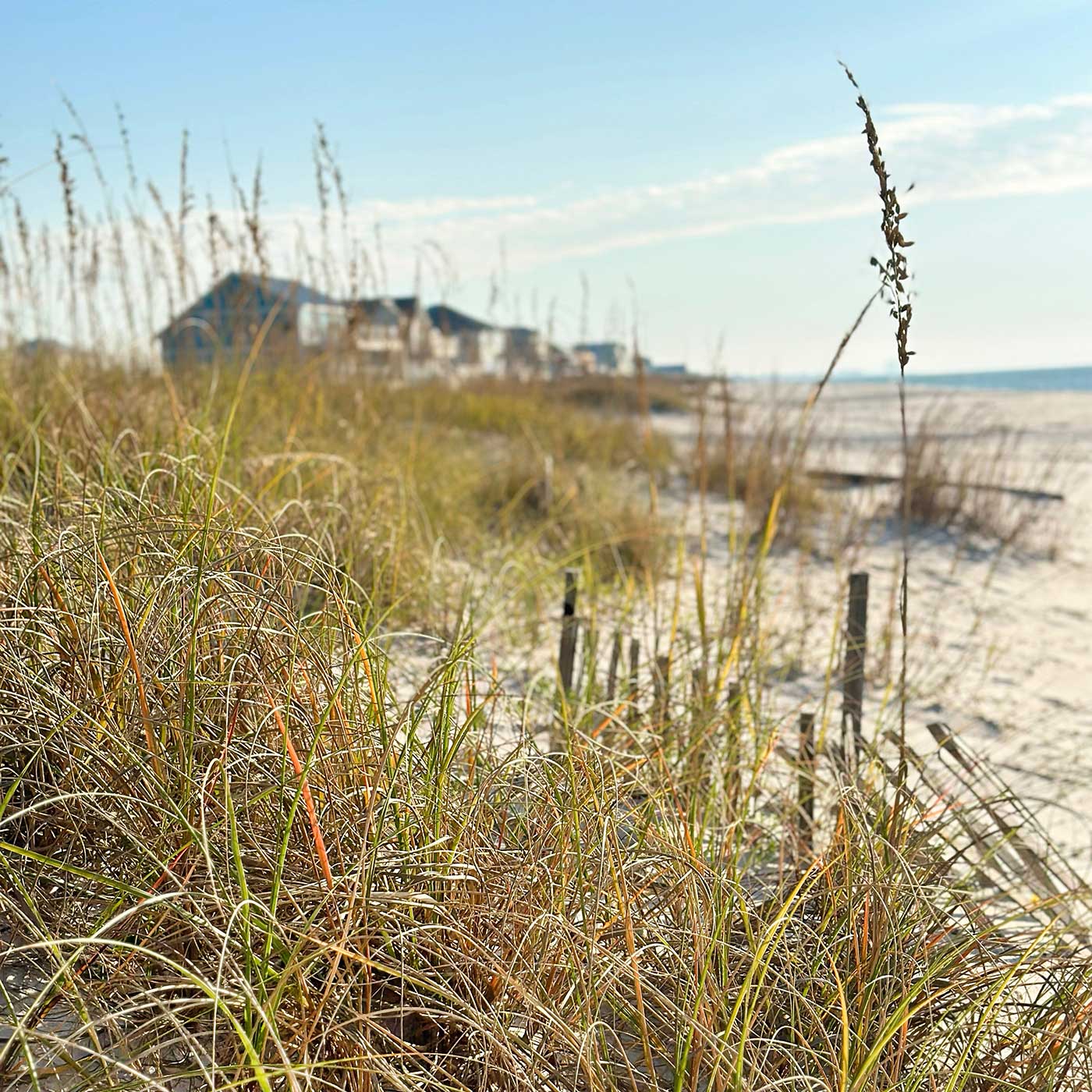 the Weekender - Live Laugh Rowe