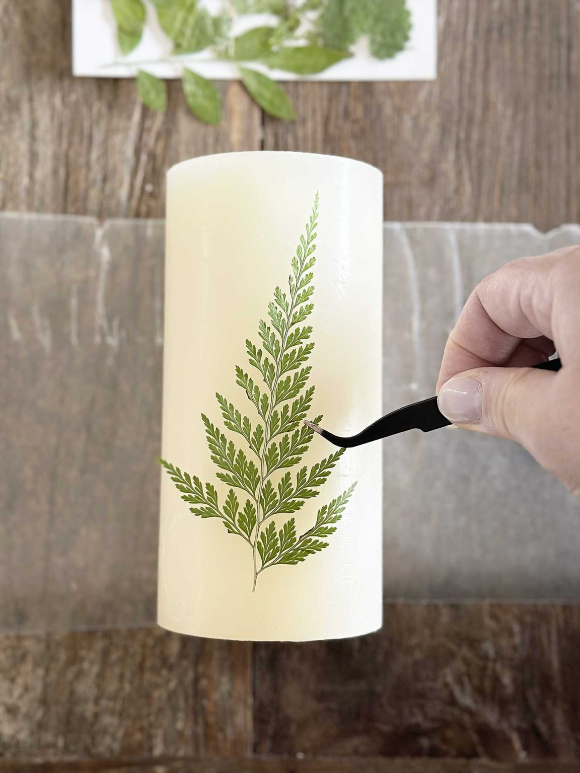 Pressed Flower Candles - Live Laugh Rowe