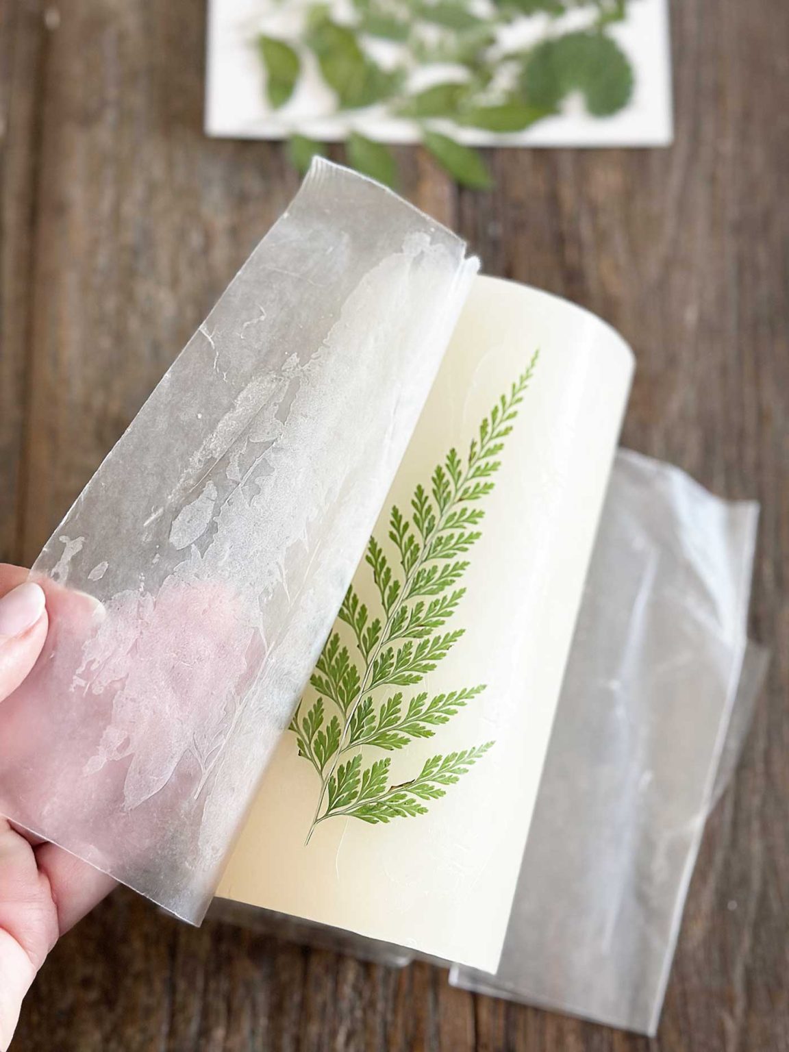 Pressed Flower Candles - Live Laugh Rowe