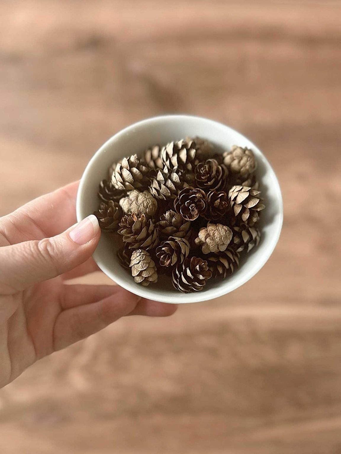 Make a Pinecone Wreath for Place Card Holders - Live Laugh Rowe