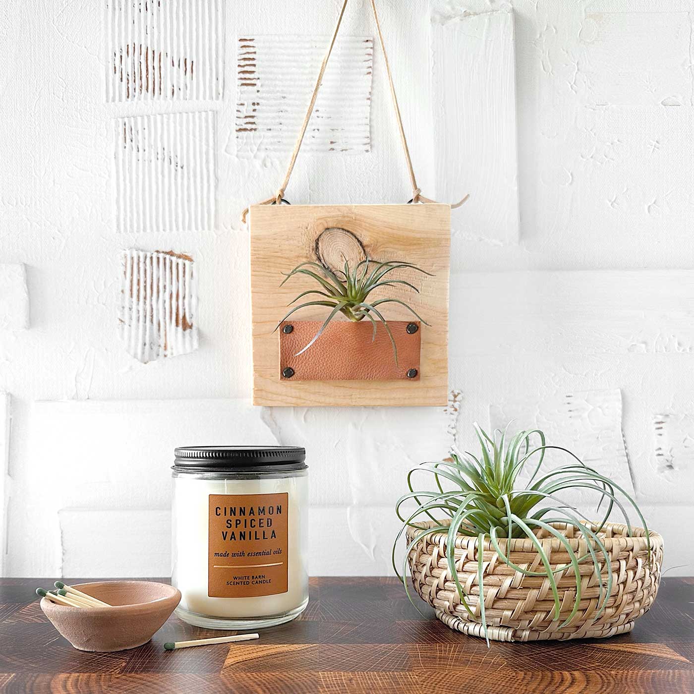 How to Make an Air Plant Holder with Leather - Live Laugh Rowe