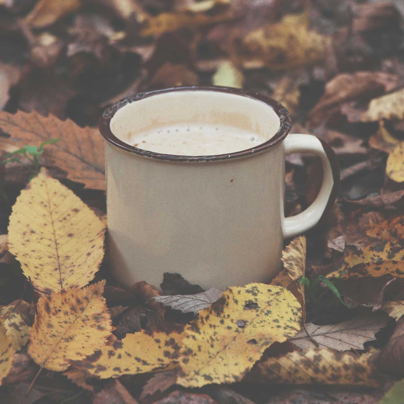 the Weekender - Live Laugh Rowe